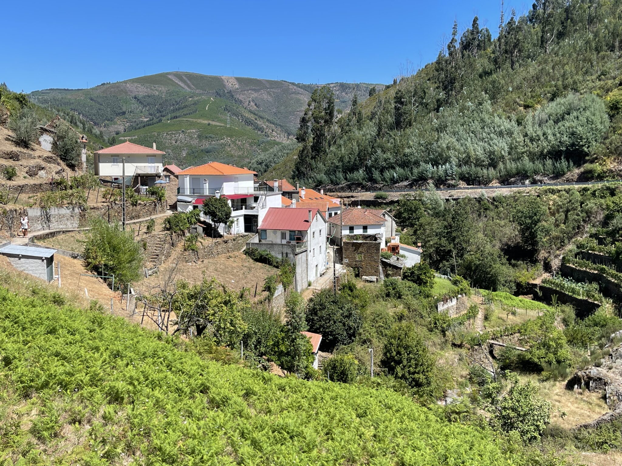 PlanIt Portugal | Tailored Travel Experiences for Your Dream Journey